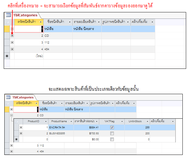 การสร้างตาราง