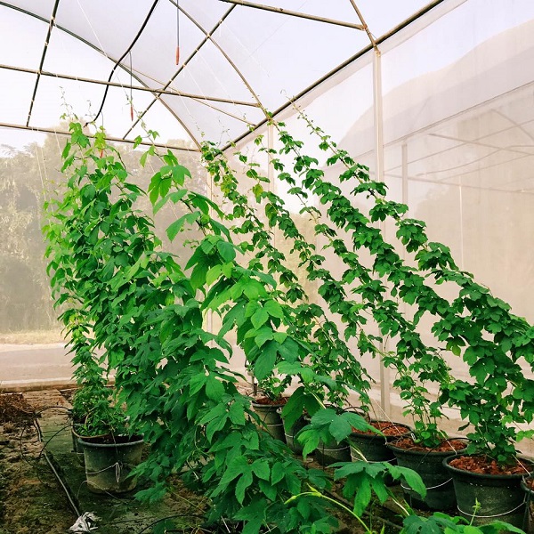 เกษตรกรยุคใหม่ด้วยระบบ Smart Farm